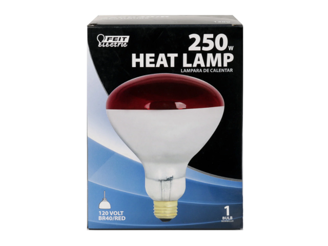Cox Hardware and Lumber - Red R40 Heat Light Bulb, 250 Watt